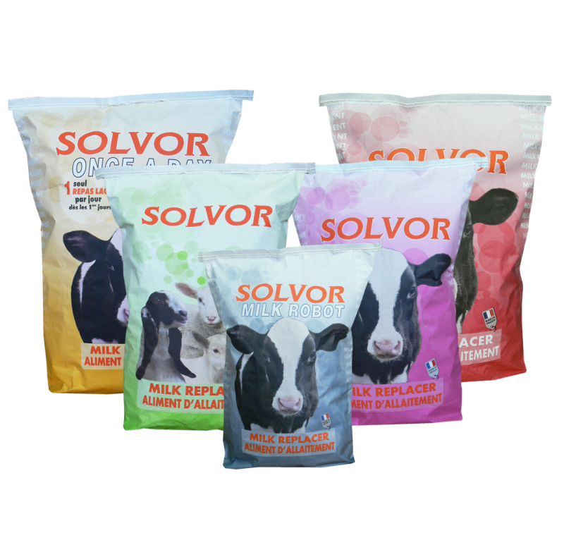 Solvor, la buvée gagnante